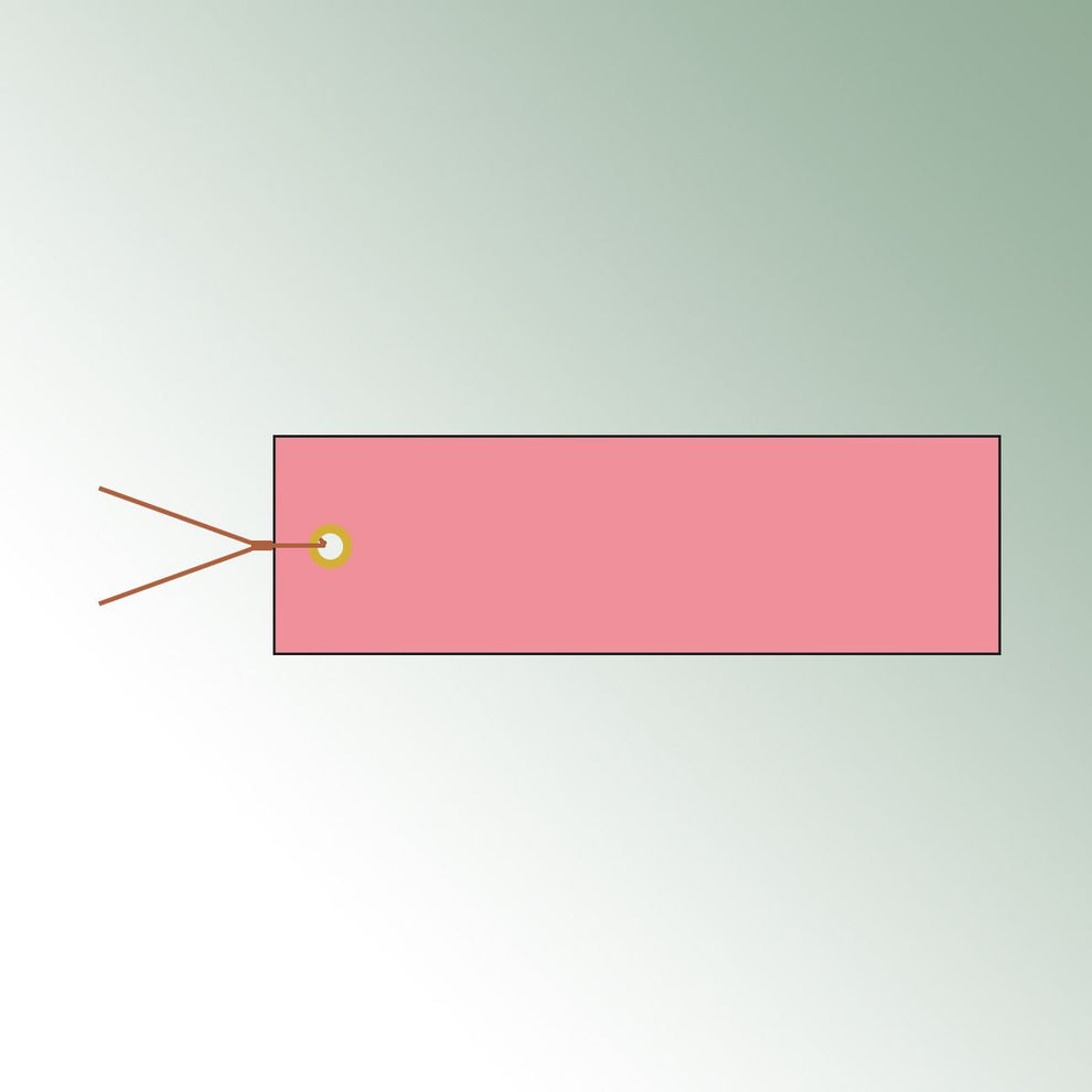 Hanging Labels 10x3,0cm pink, unprinted No./pack = 250 pieces – PG ...