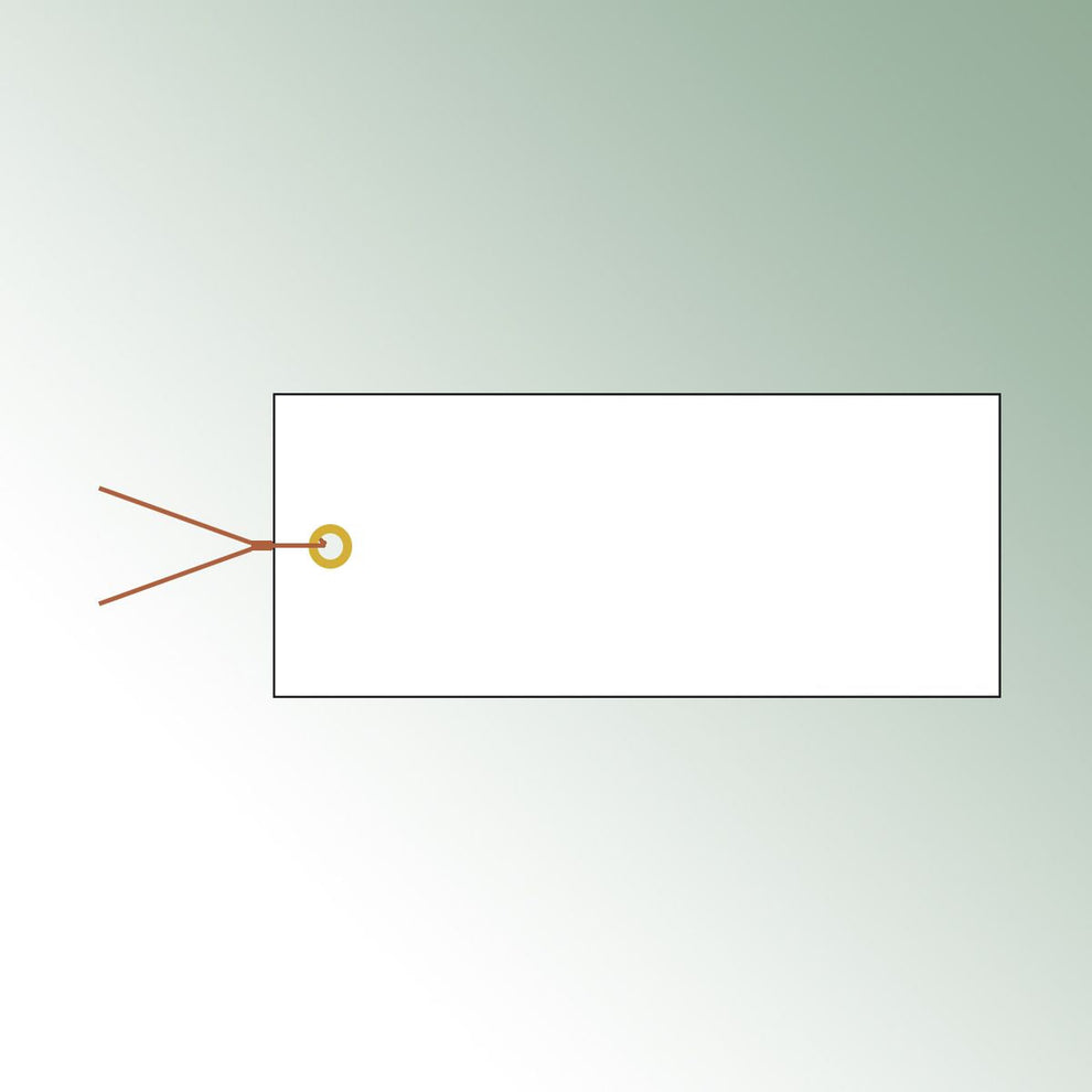 Hanging Labels 12x5,0cm white, unprinted No./pack = 100 pieces – PG ...