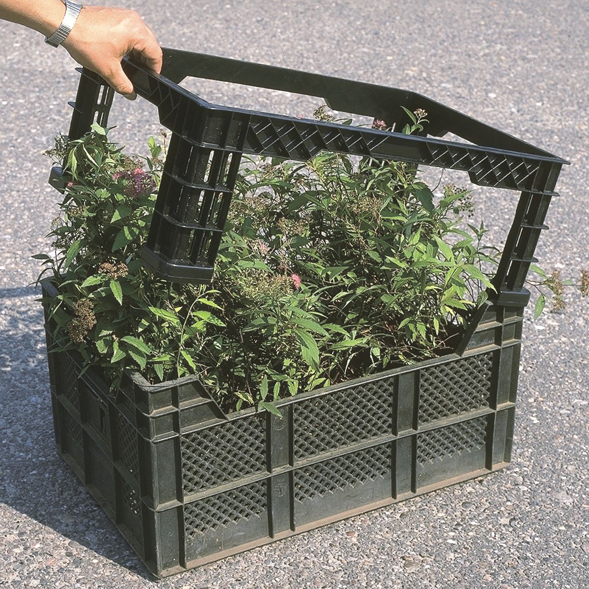 Plastic Frames For Gardens Easy Cold Frame Garden How To Convert A